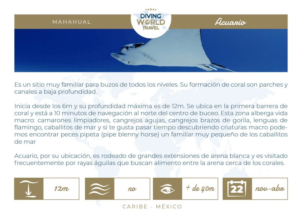 ficha acuario | Diving World Travel - Encuentra tu destino